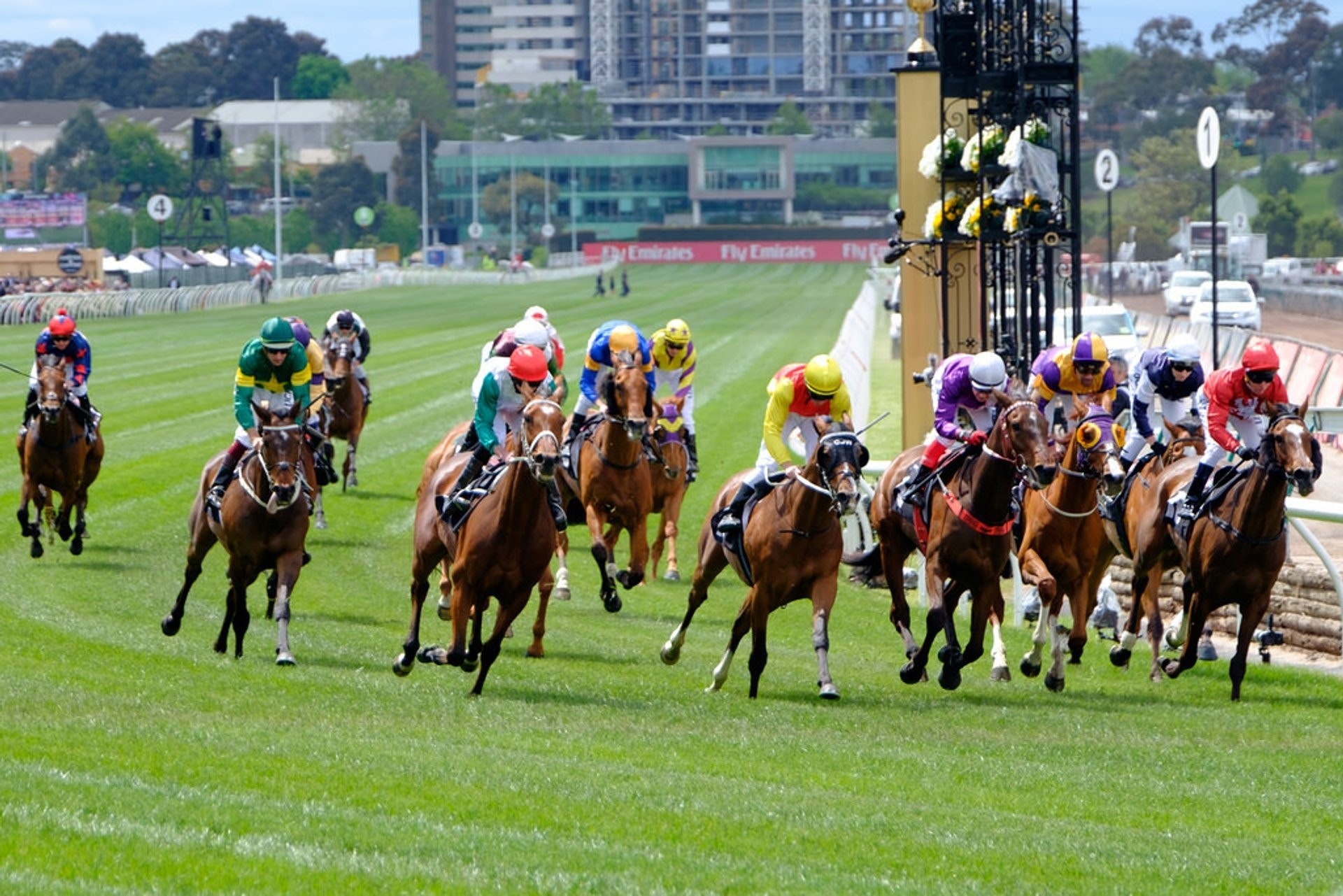 Your Guide To The Melbourne Cup Carnival - Albatross Bay Resort