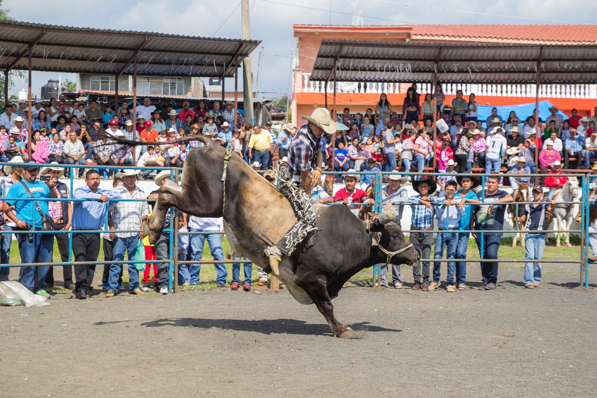 Saddle Up for the annual Weipa Bullride - Albatross Bay Resort